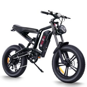 Best Electric Bike No Pedals: Top Picks for Effortless Rides - Folding ...